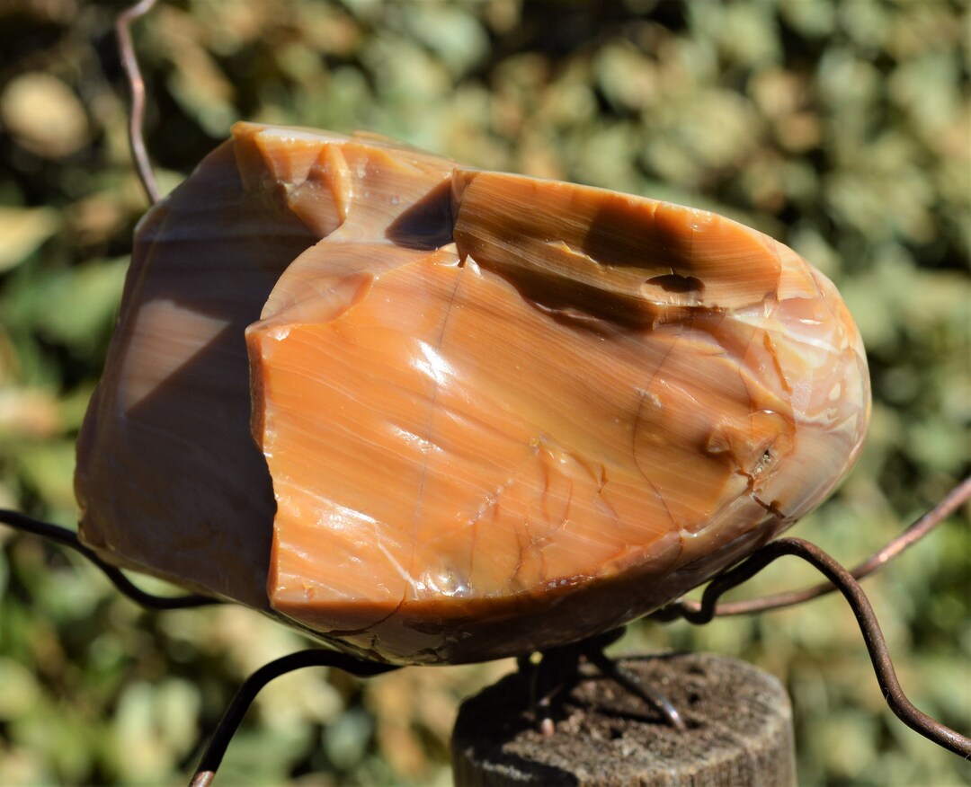 CBPO-20-01: Pink Banded Opal From Eastern Goldfields Area Near the ...