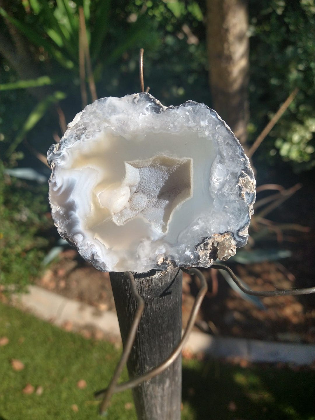 Polished Half of a Mexican Coconut Geode With Druzy Quartz Center - Etsy