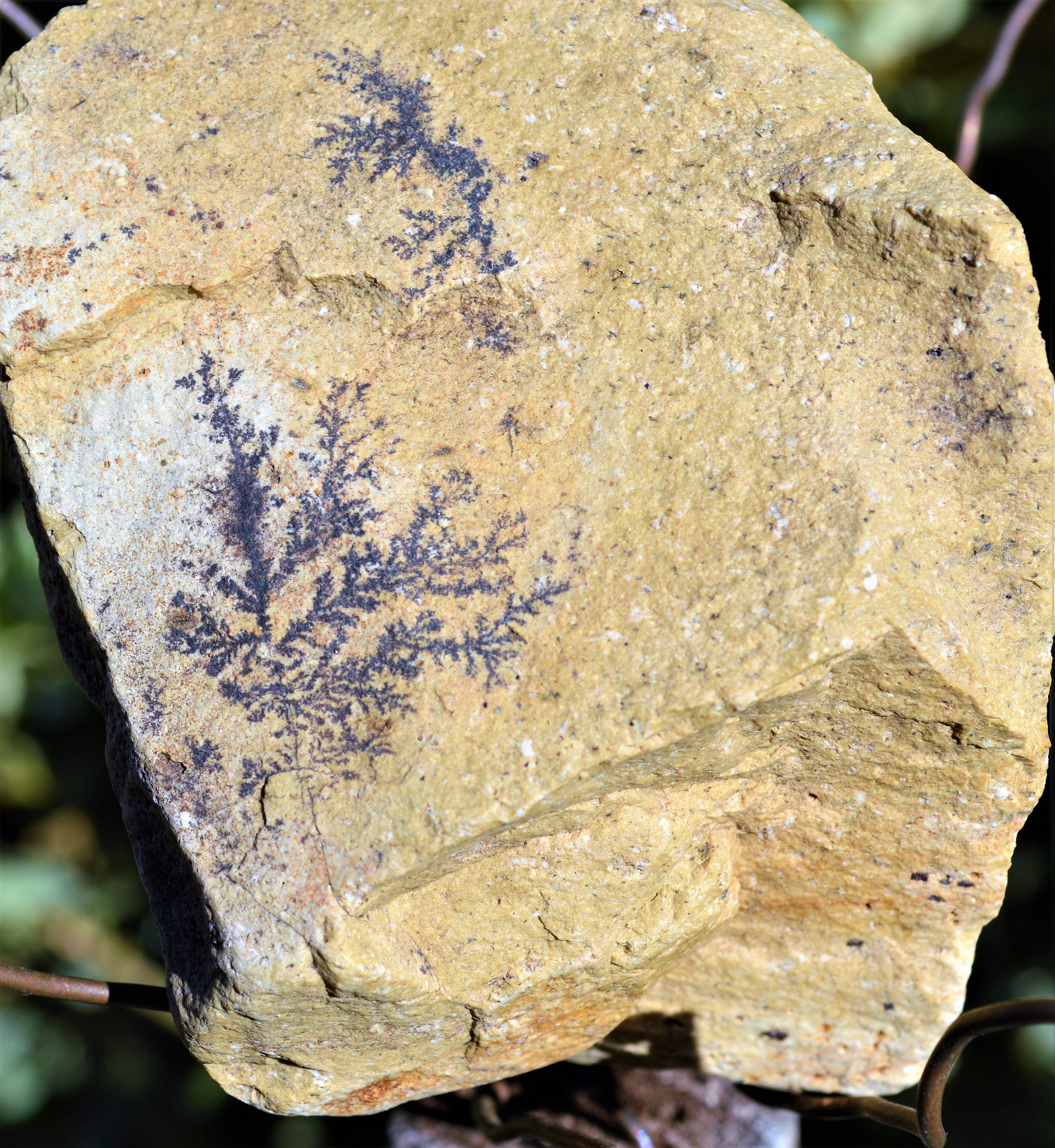 Dendritic Sandstone Formed Naturally These Inclusions of - Etsy