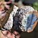 RRTE-18-02: Triple Faced Thunderegg... Waterline, Priday Blue Bed ...