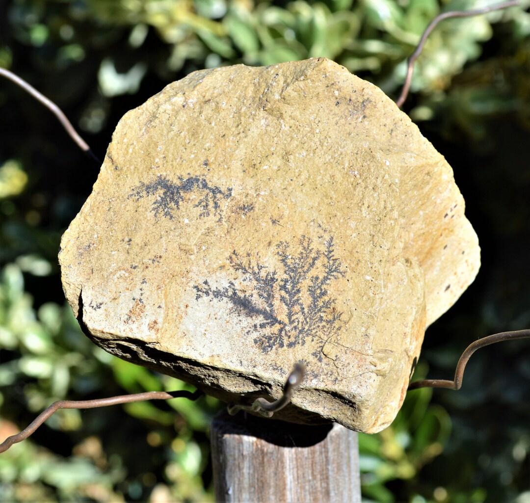 Dendritic Sandstone, Formed Naturally, These Inclusions of Iron Oxide ...