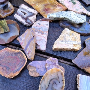 Cabbing Slabs, Lapidary Supply, Agates, Jaspers, Petrified Wood ...