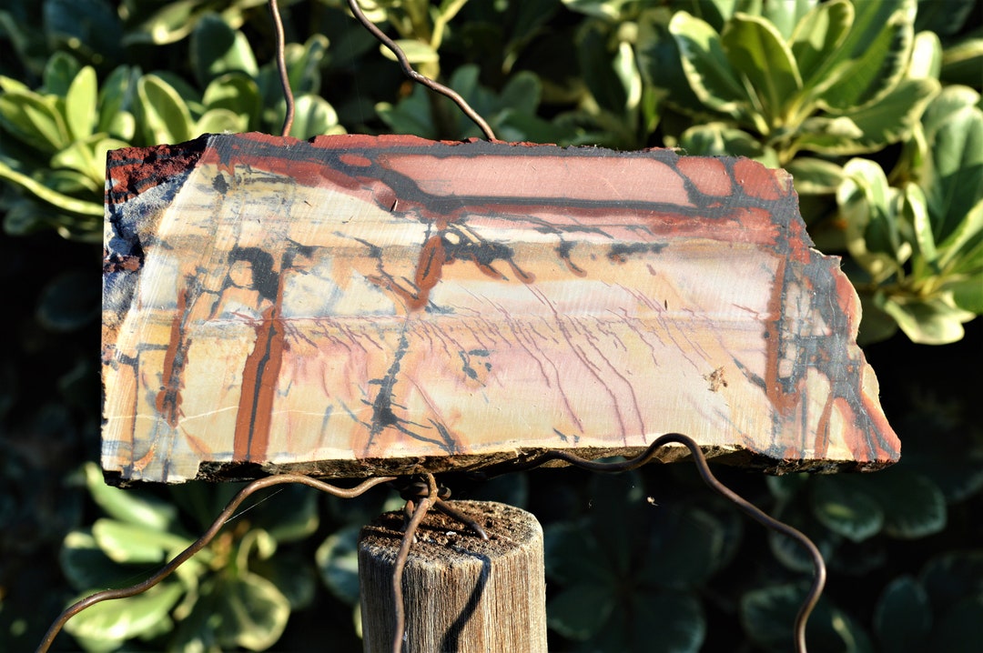 IPS20-12: RARE Colorful Indian Paint Stone. This Example From Death ...