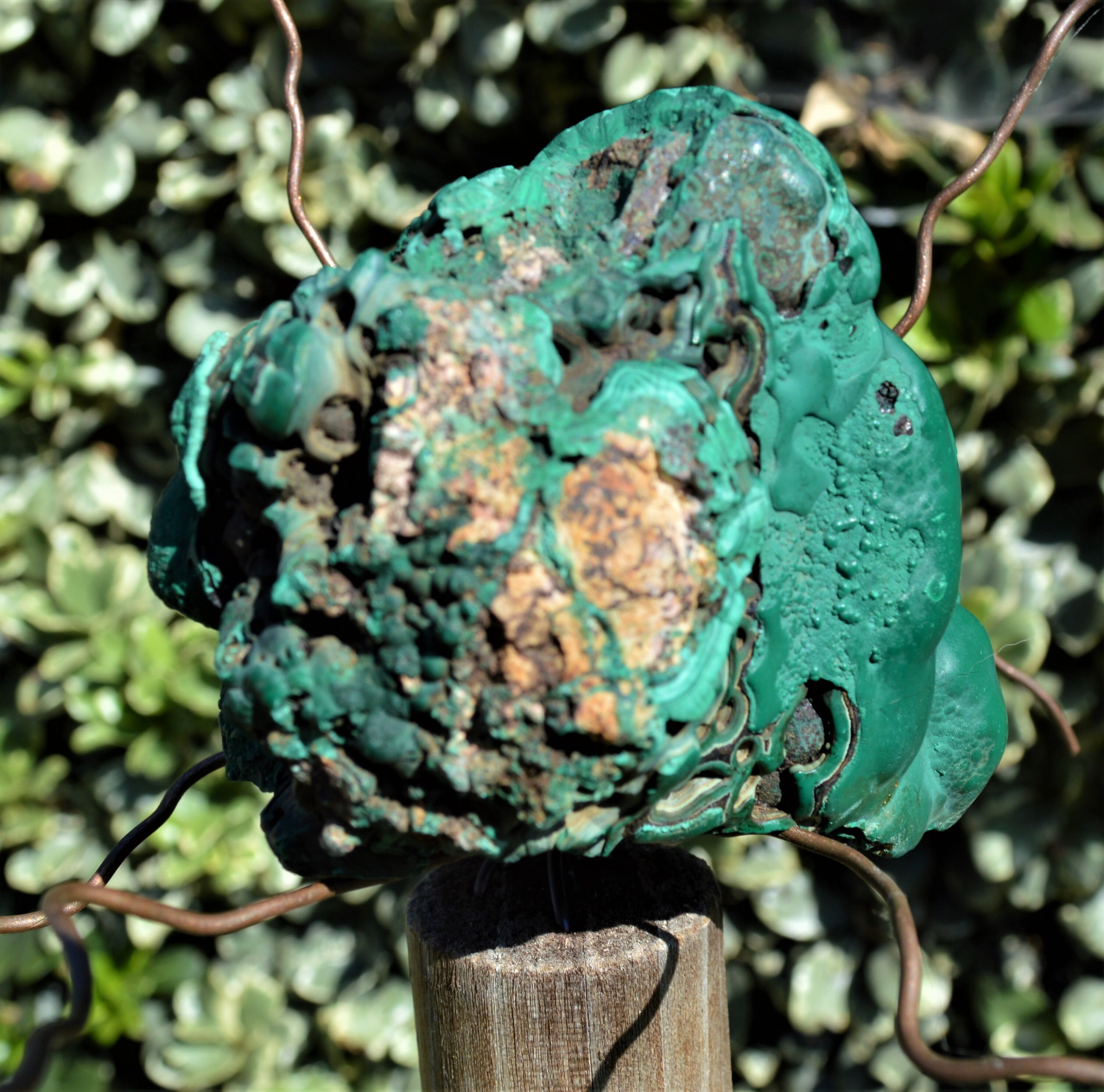 BM-20-01: Botryoidal Malachite specimen. Malachite is a | Etsy