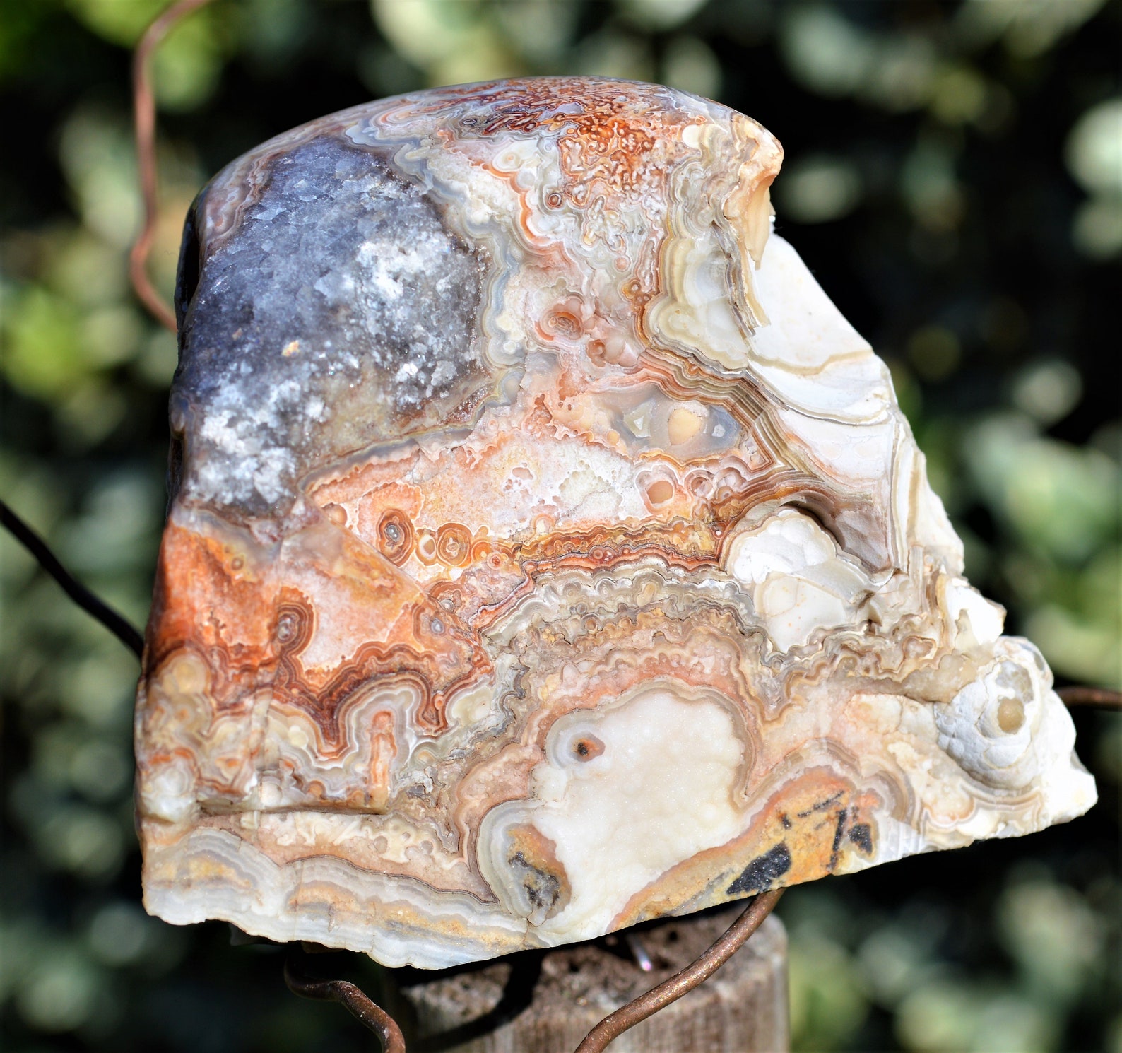 CLA-18-09: Mexican Crazy Lace Agate Rough Polished Face. Weights, 10.8 ...