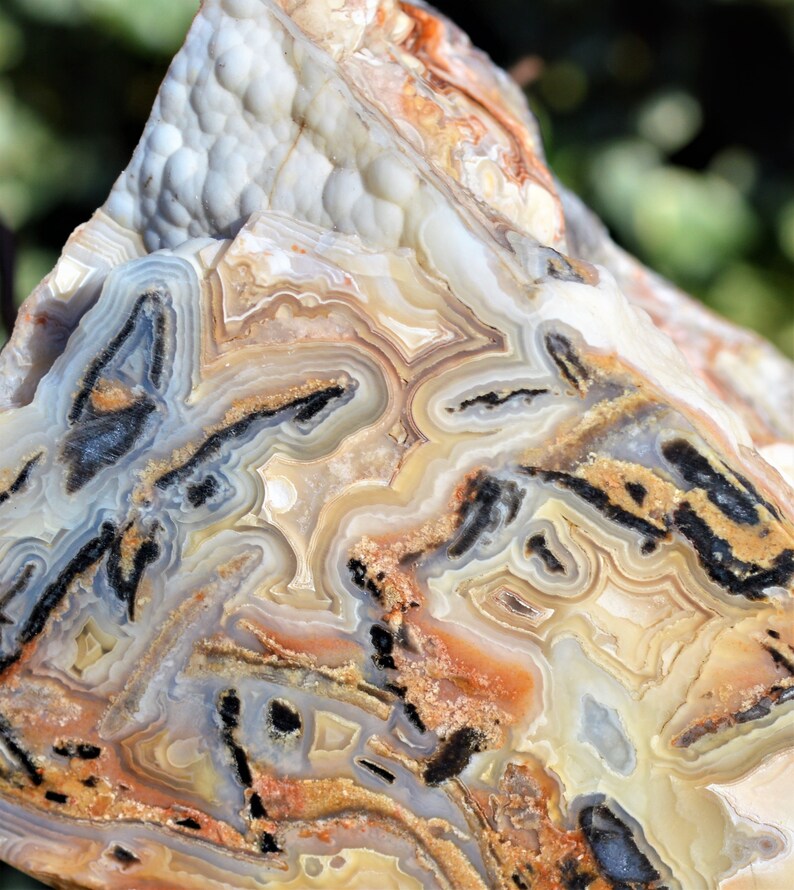 CLA-18-09: Mexican Crazy Lace Agate Rough Polished Face. Weights, 10.8 ...