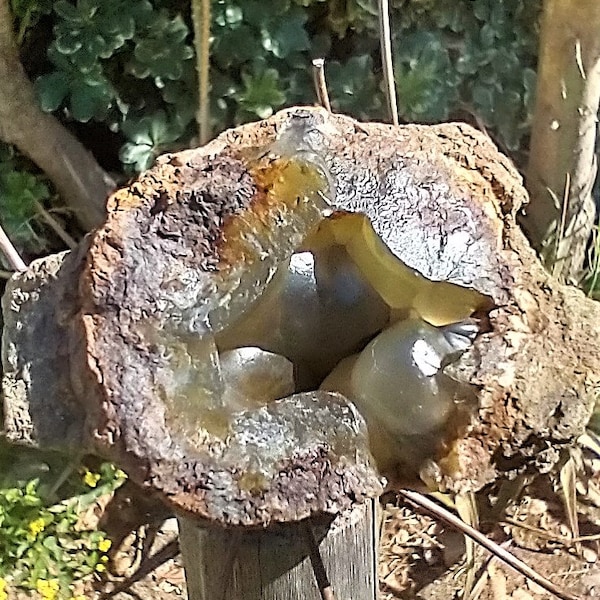 Botryoidal Chalcedony - Etsy