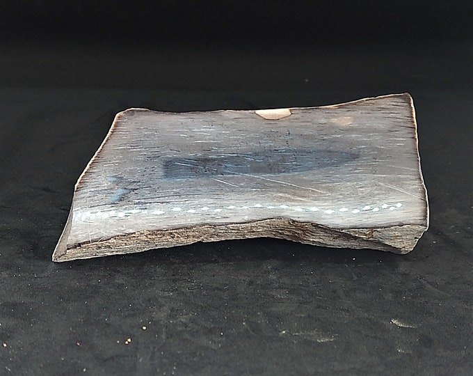 Petrified Wood Form Saddle Mountain in Washington State This Stone is 4 ...