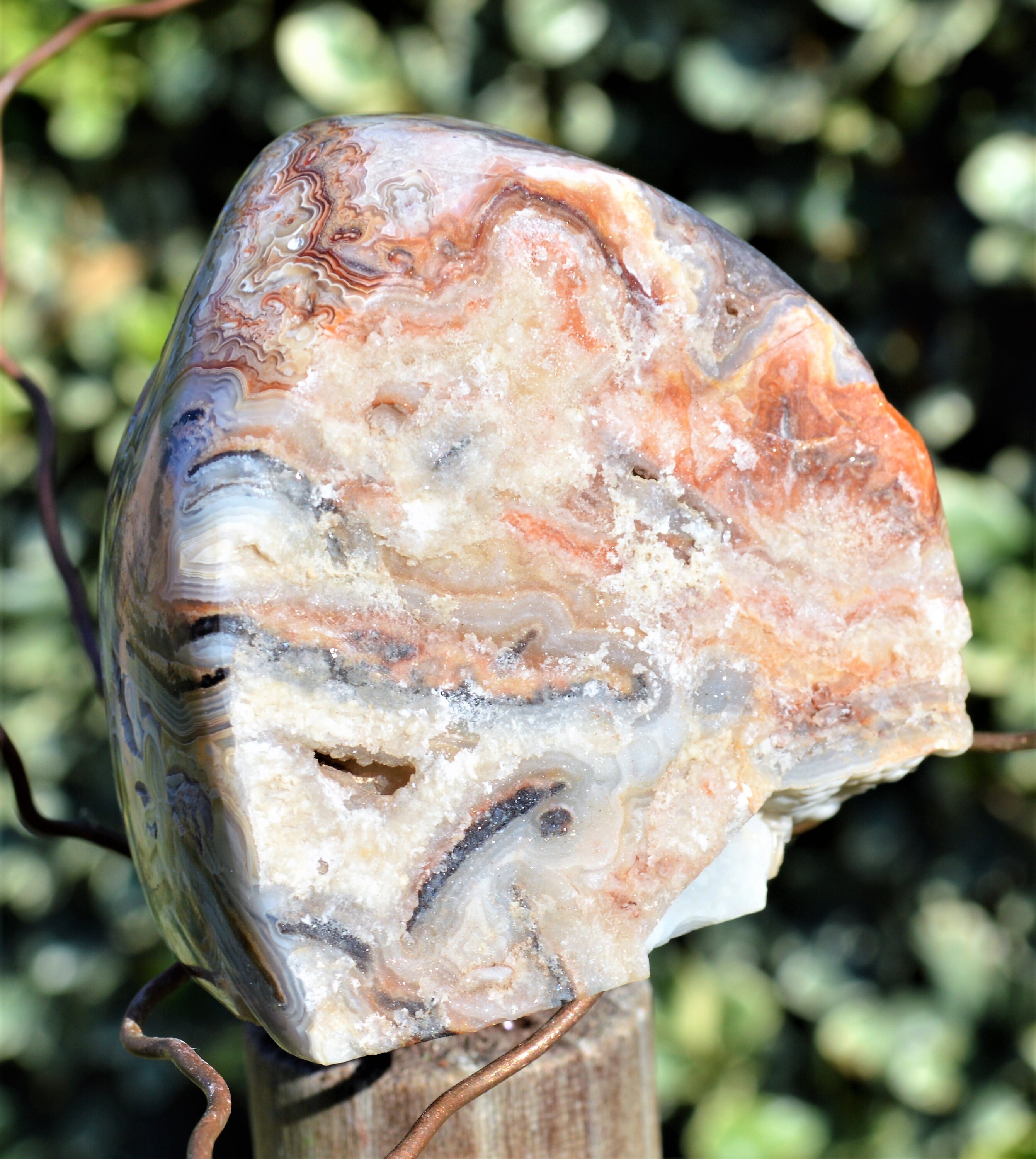 CLA-18-09: Mexican Crazy Lace Agate rough polished face. - Etsy.de