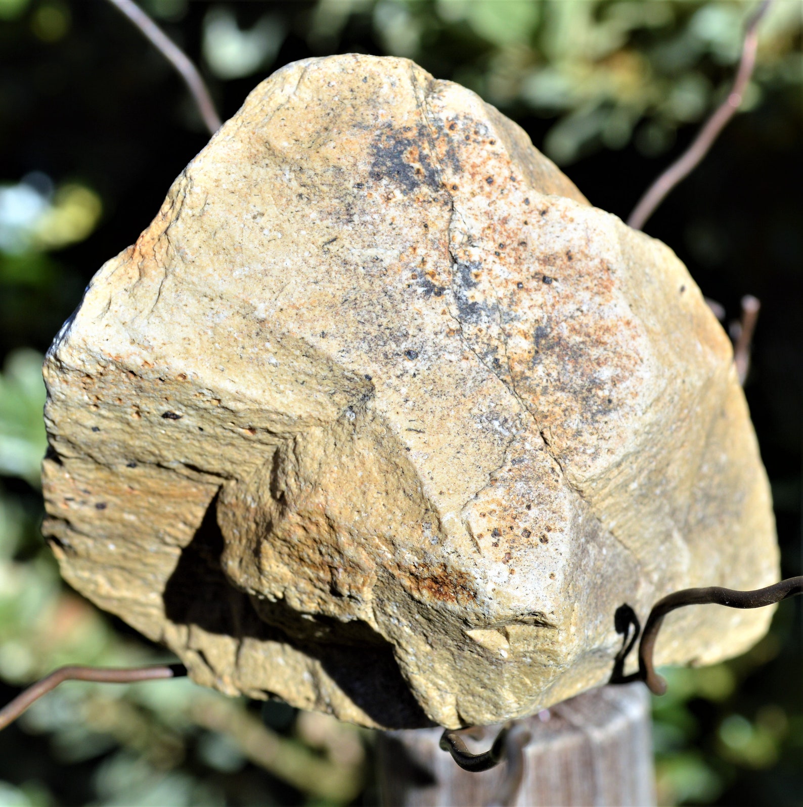 Dendritic Sandstone Formed Naturally These Inclusions of - Etsy