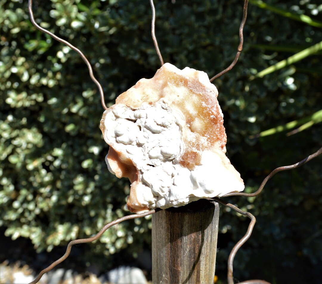 Rare Natural Calcite Cave Onyx Specimen Also Known as “cave Popcorn ...