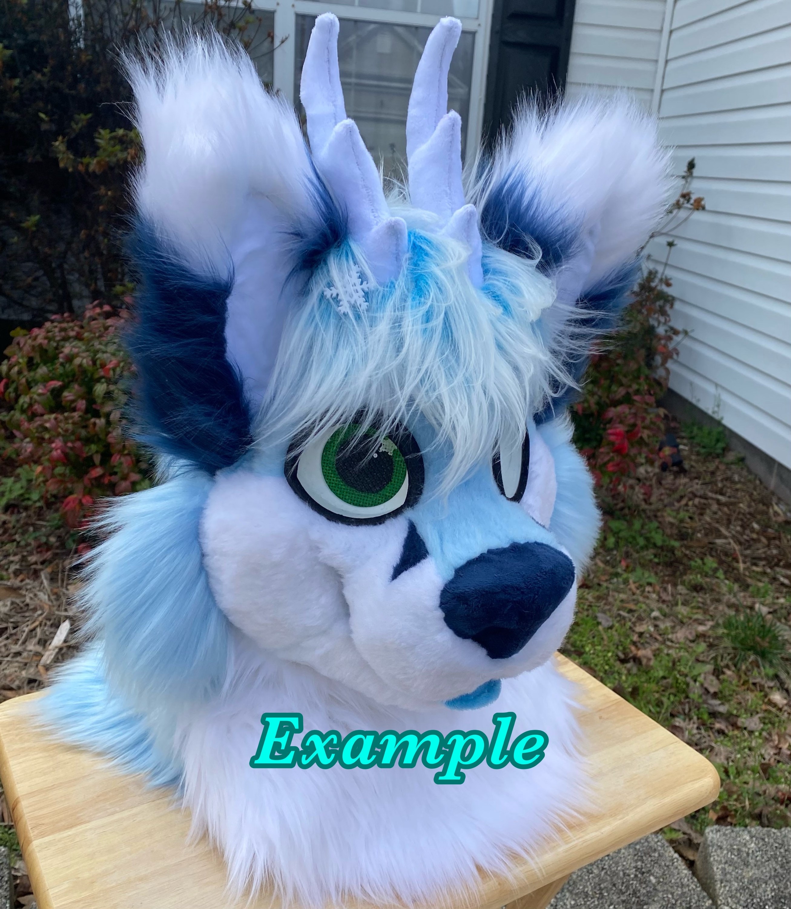 CUSTOM Fursuit Head - Etsy