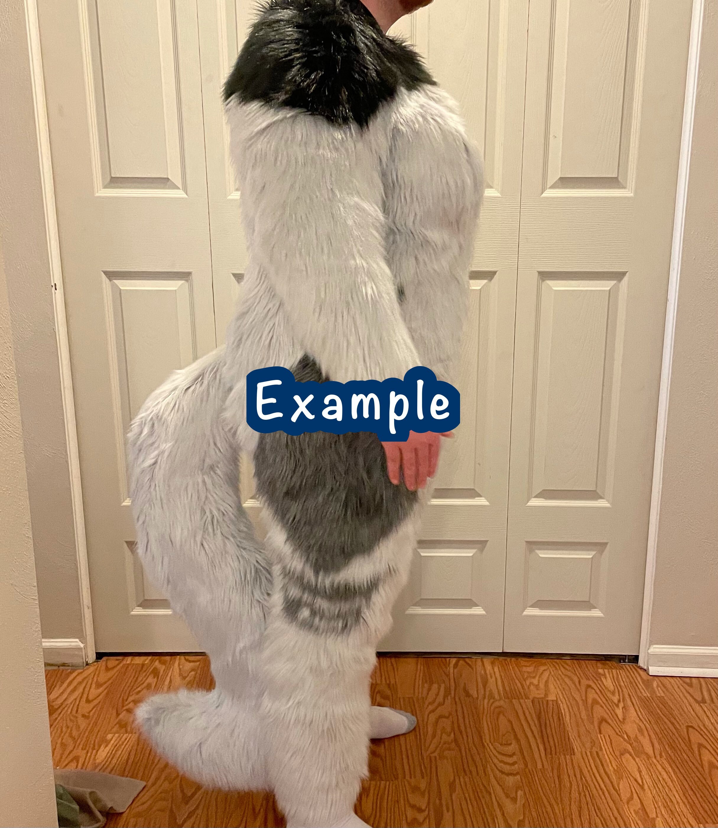 Custom Fursuit Plantigrade Bodysuit Or Legs Etsy