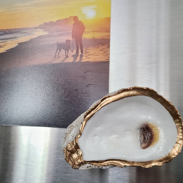 Beach Magnets - Etsy