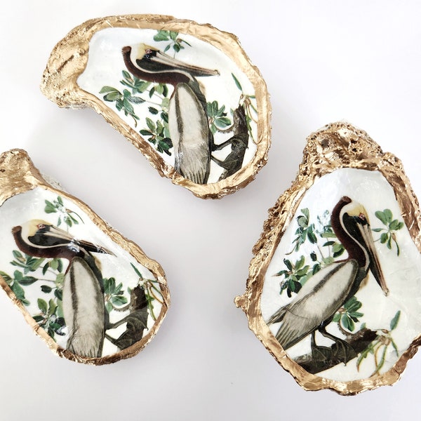 Pelican Shell Art - Etsy