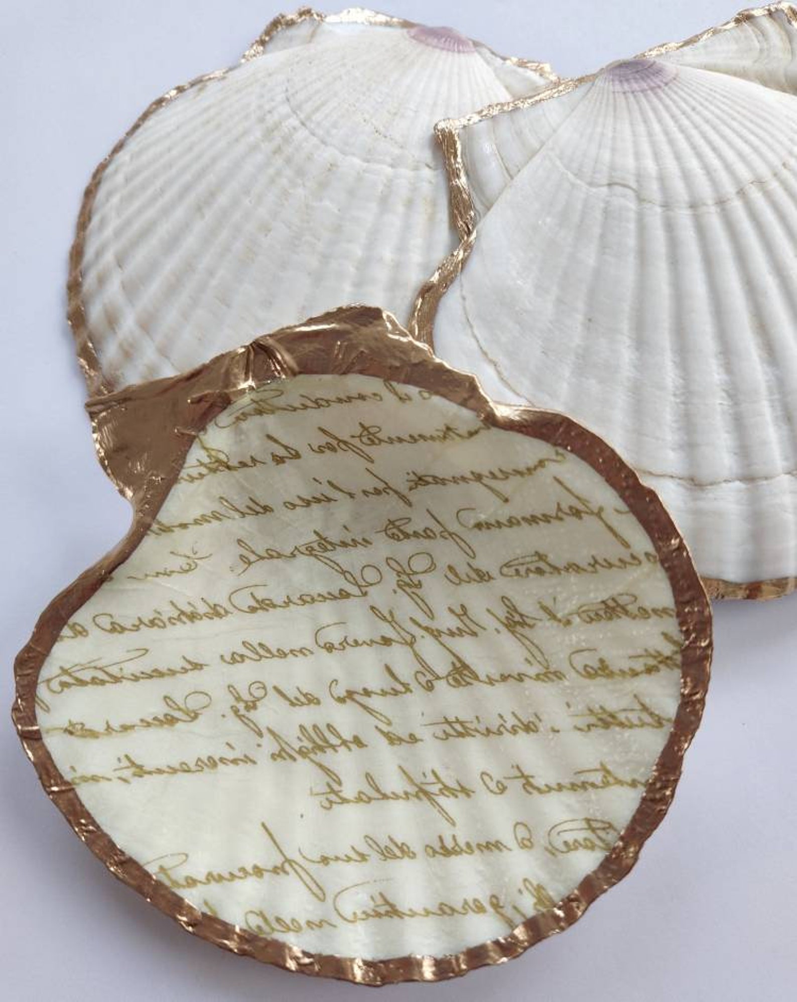 Scallop Shell Ring Dish Jewelry Tray Beach Themed Gift - Etsy