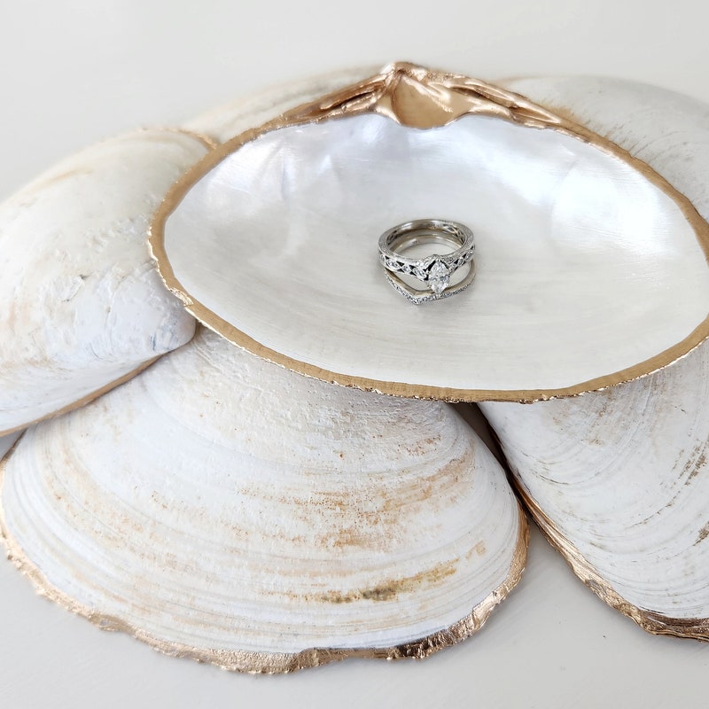 Clam Shell Dish - Etsy