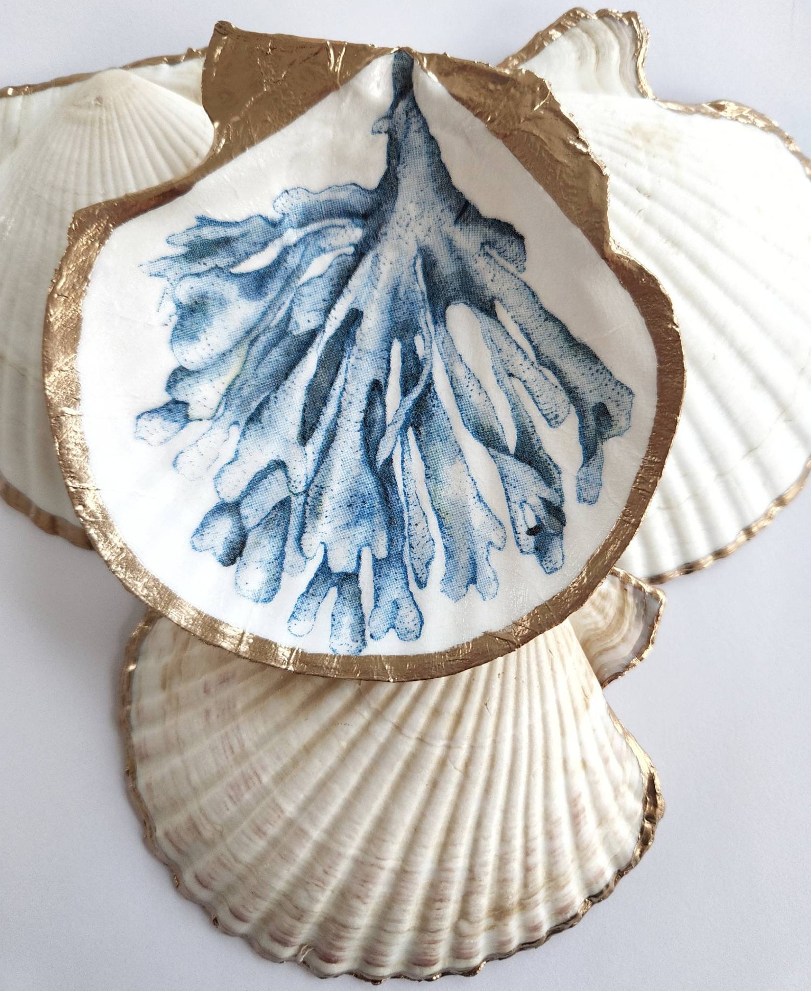 Scallop Shell Ring Dish Jewelry Tray Beach Themed Gift - Etsy