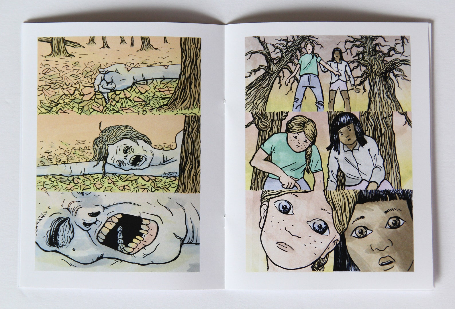 Raspberries Mini Comic Zine Full Color | Etsy