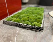 Live Green Moss Bath Mat | The Green Head