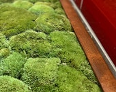 Live Green Moss Bath Mat | The Green Head
