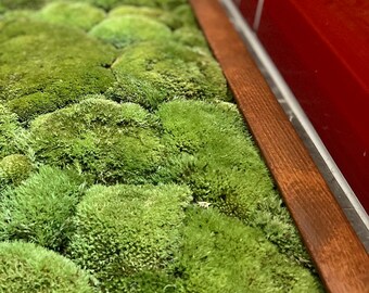 Real Moss Bath Mat - Etsy