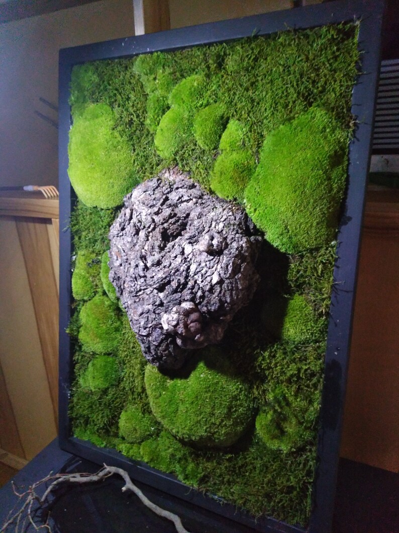 Natural Green Preserved Moss Panel Chartreuse Green Moss - Etsy