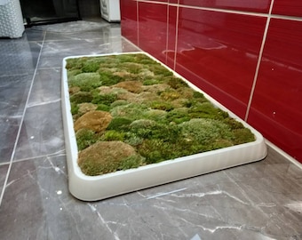 Live Moss Bath Mat - Etsy