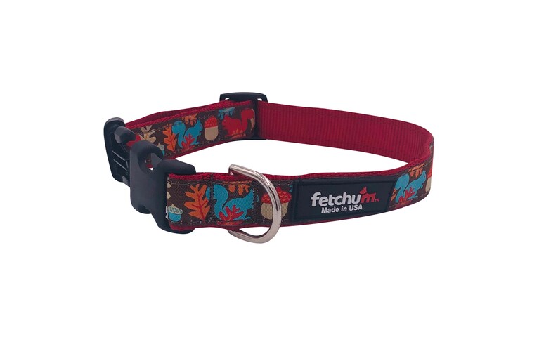 Fetchum Squirrel Collar - Etsy