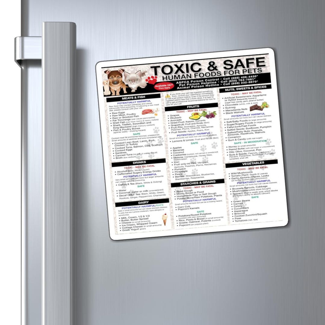 Pet Safety Magnet: Toxic & Safe Foods for Pets, Dog Lovers Gift ...
