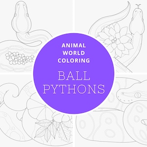 Ball Python Digital Coloring Book - PDF - Great for Both Reptile and ...