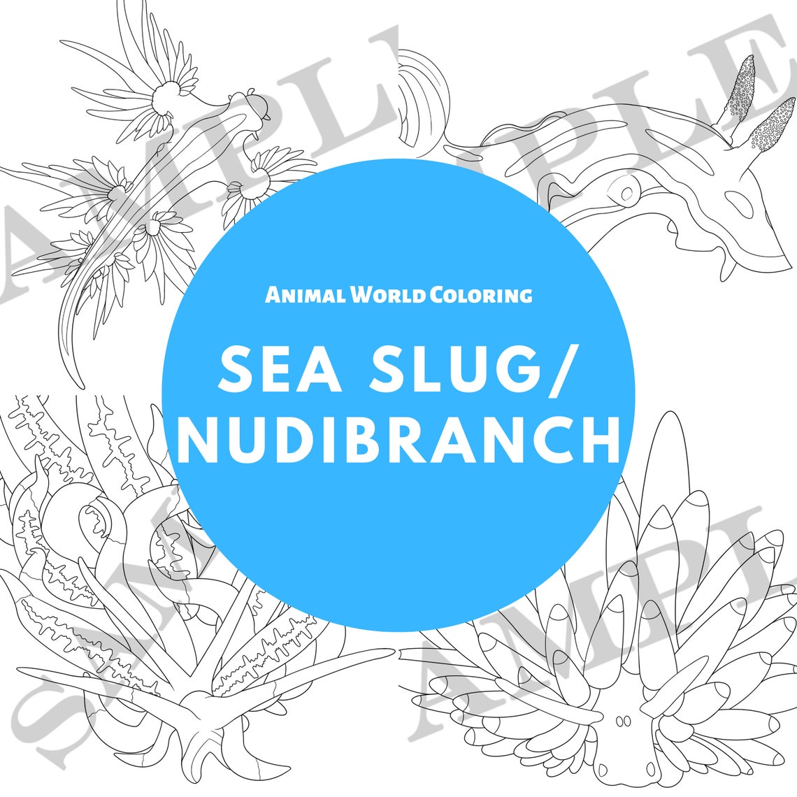 Hand Drawn Sea Slug & Nudibranch Digital Coloring Book - PDF - Great ...