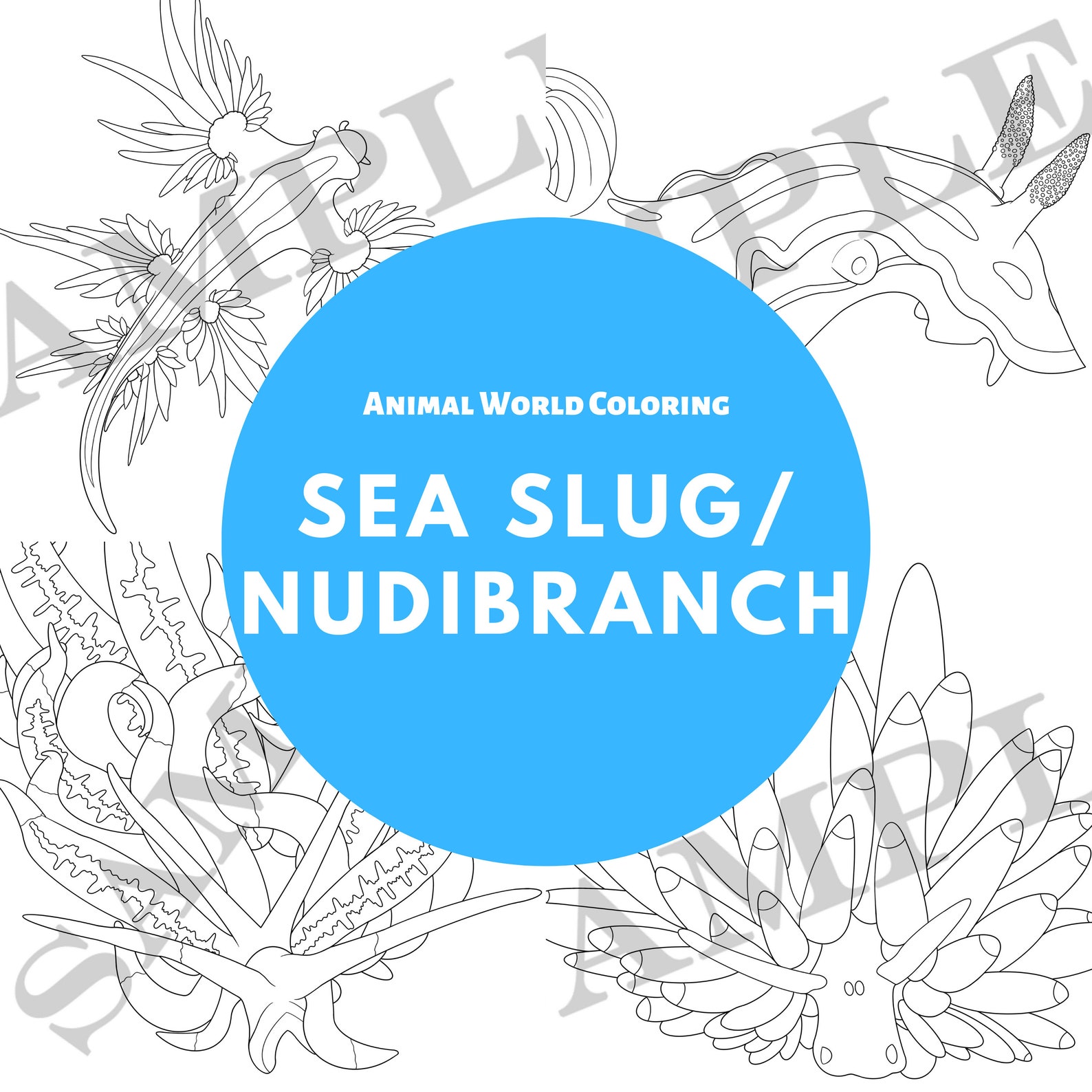 Hand Drawn Sea Slug & Nudibranch Digital Coloring Book - PDF - Great ...