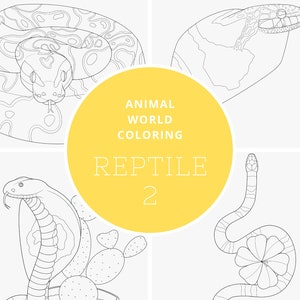 Digital Reptile #2 - More Reptiles Coloring Book - PDF Downloads ...