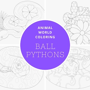 Hand Drawn Ball Python Digital Coloring Book - PDF - Great for Both ...