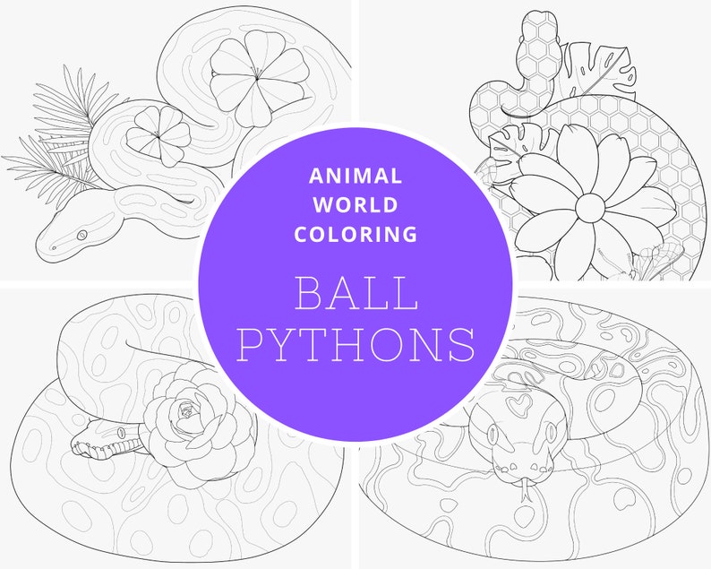 Hand Drawn Ball Python Digital Coloring Book - PDF - Great for Both ...