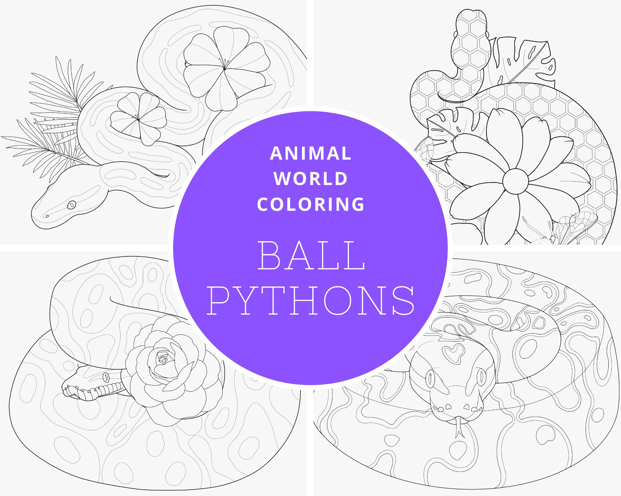 Ball Python Digital Coloring Book - PDF - Great for Both Reptile and ...