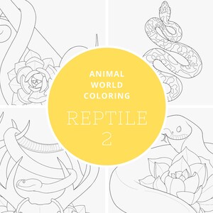 Digital Reptile #2 - More Reptiles Coloring Book - PDF Downloads ...
