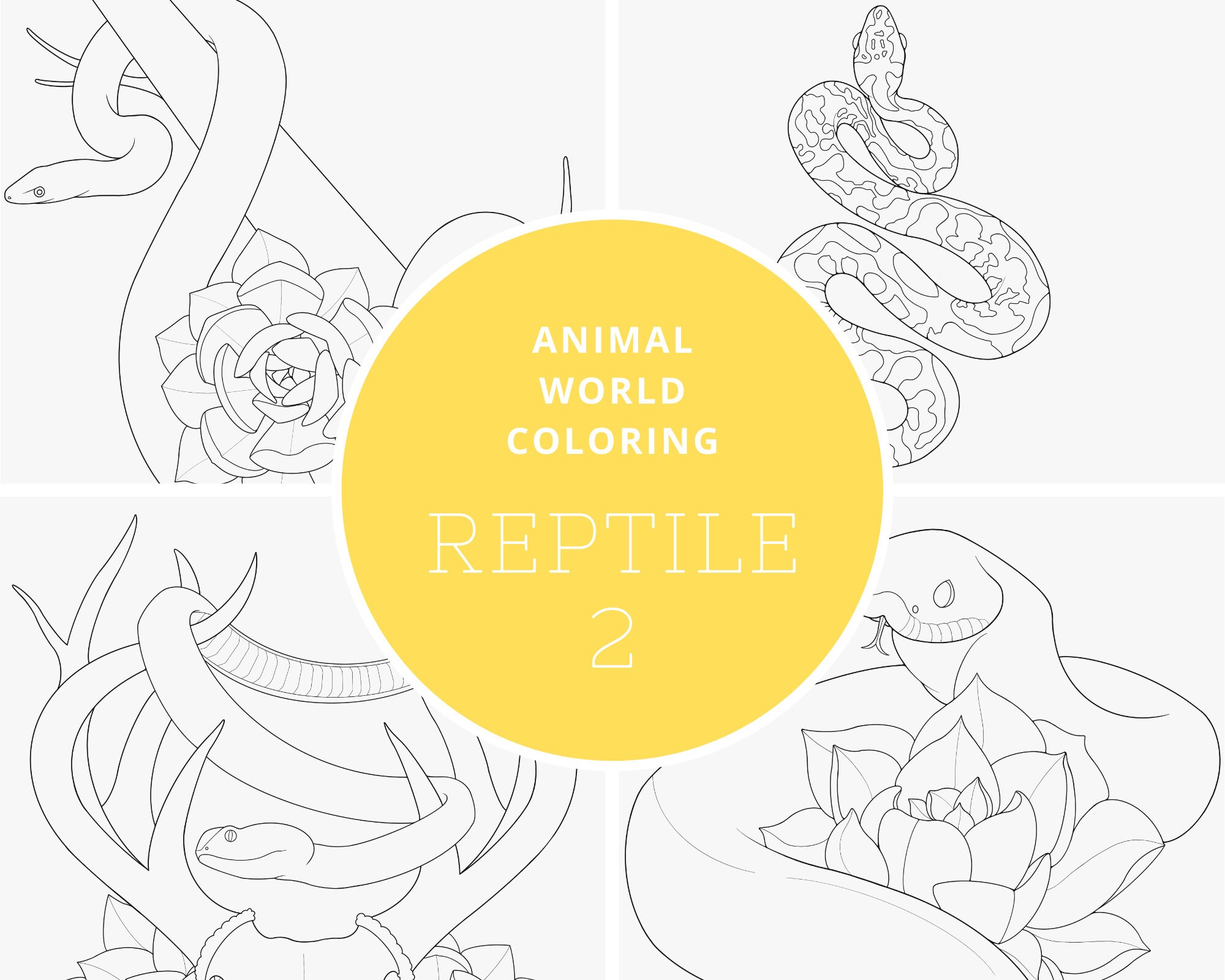 Digital Reptile 2 More Reptiles Coloring Book PDF Downloads Great for ...