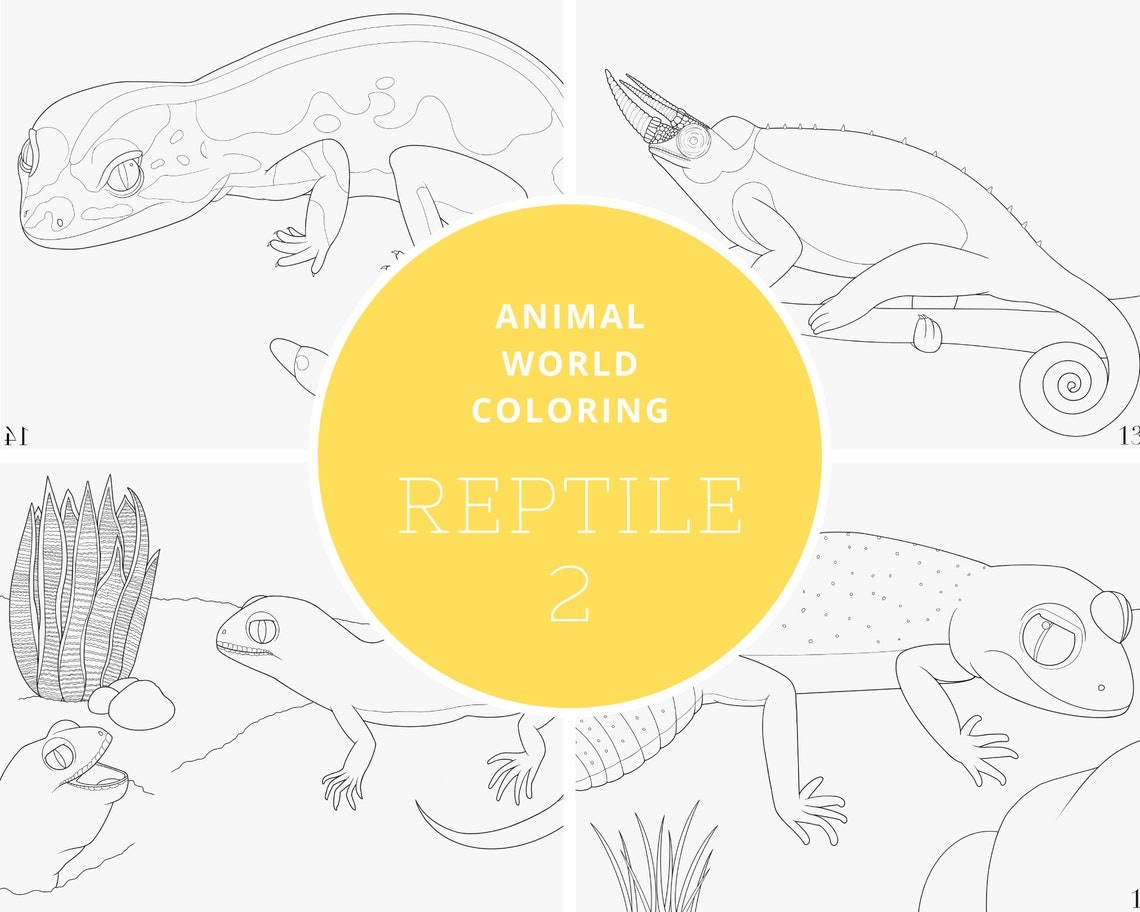 Digital Reptile #2 - More Reptiles Coloring Book - PDF Downloads ...
