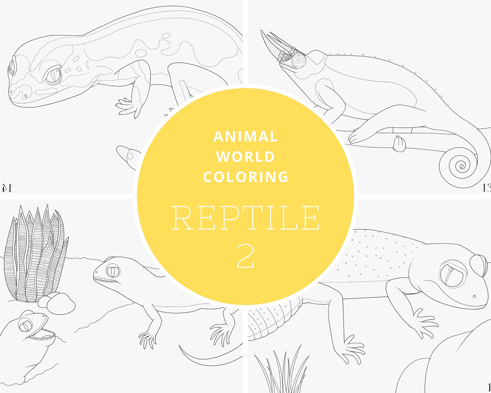 Digital Reptile 2 More Reptiles Coloring Book PDF Downloads Great for ...