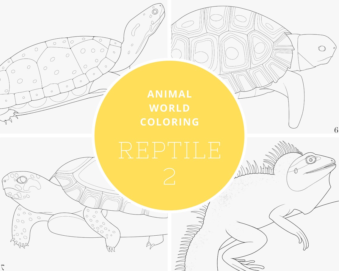 Digital Reptile #2 - More Reptiles Coloring Book - PDF Downloads ...