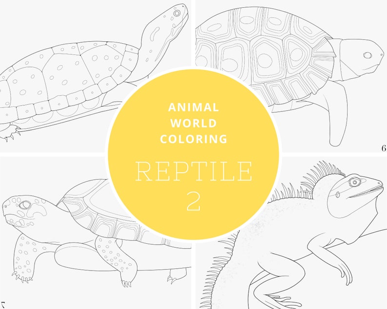 Hand Drawn Digital Reptile #2 - More Reptiles Coloring Book - PDF ...