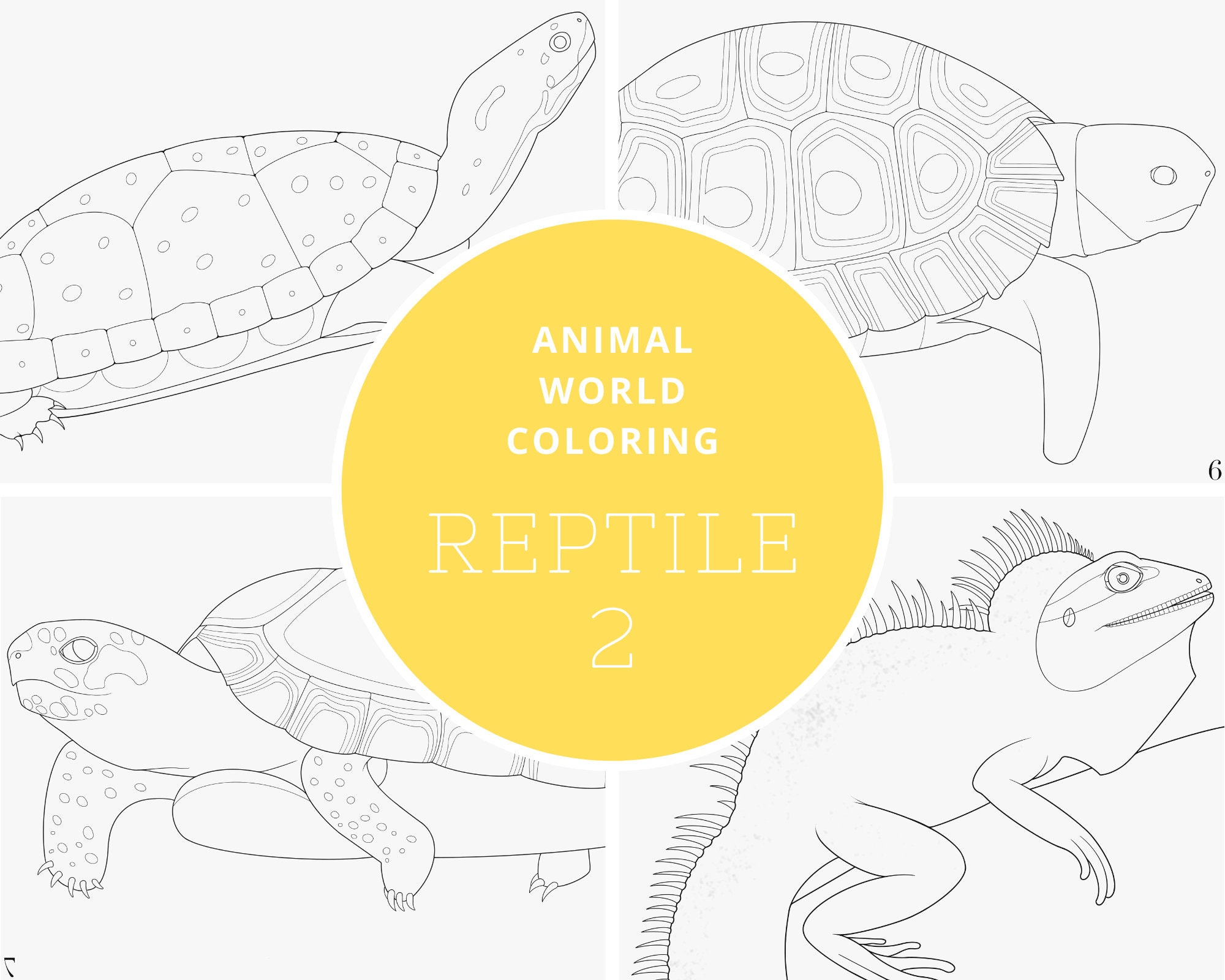 Digital Reptile 2 More Reptiles Coloring Book PDF Downloads Great for ...