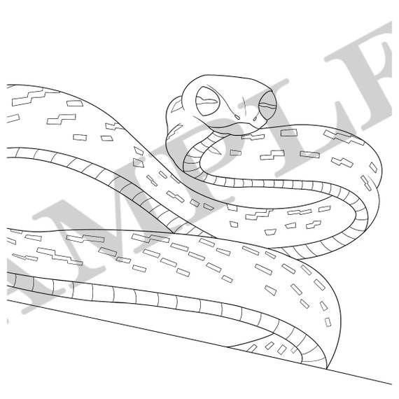 Dibujos Para Colorear De Reptiles Para Imprimir 16 Dibujos De