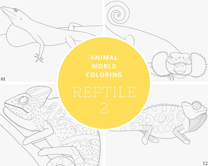 Hand Drawn Digital Reptile #2 - More Reptiles Coloring Book - PDF ...