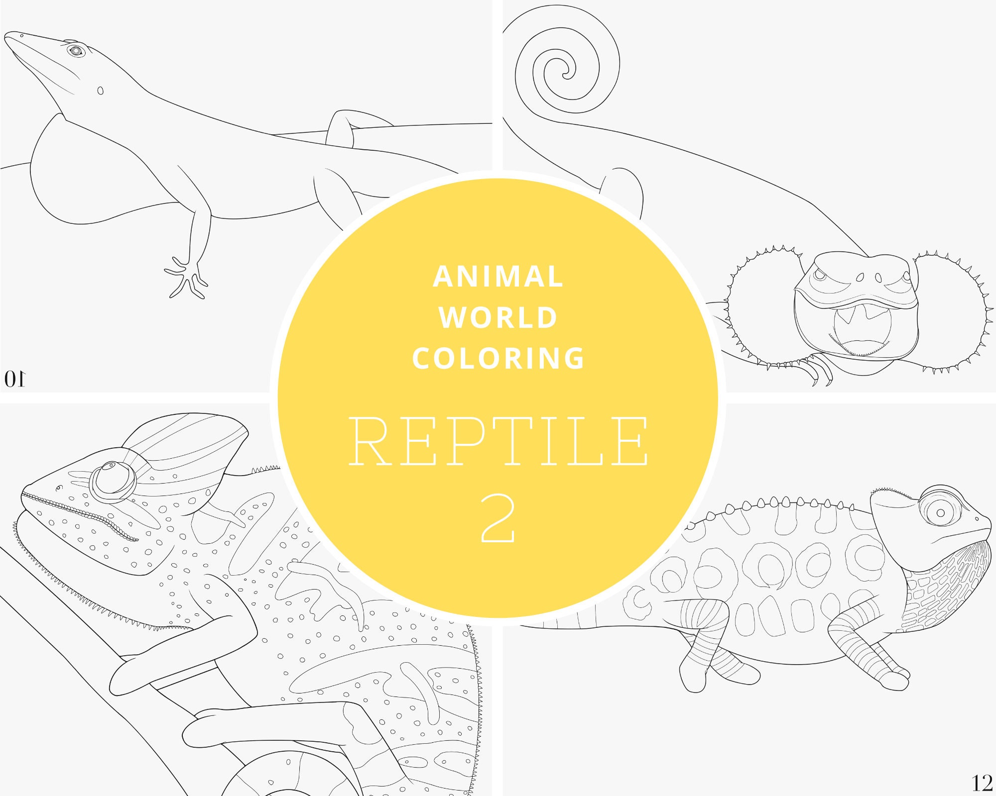 Digital Reptile 2 More Reptiles Coloring Book PDF Downloads Great for ...