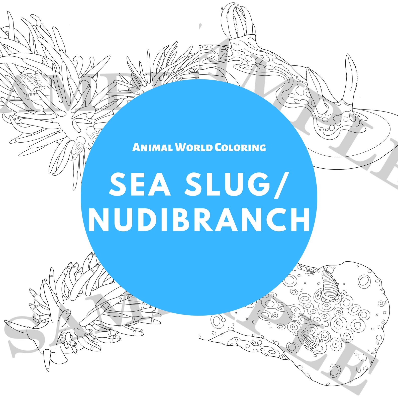 Hand Drawn Sea Slug & Nudibranch Digital Coloring Book - PDF - Great ...