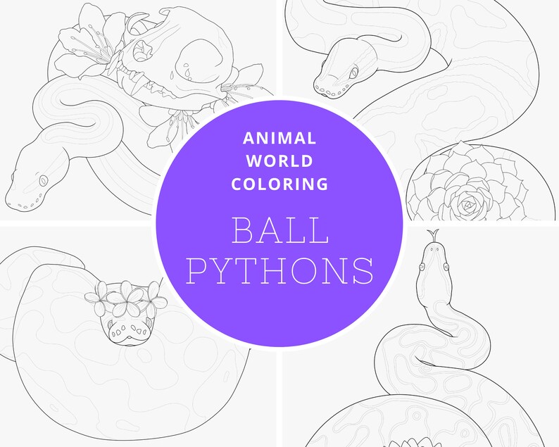 Ball Python Digital Coloring Book - PDF - Great for Both Reptile and ...