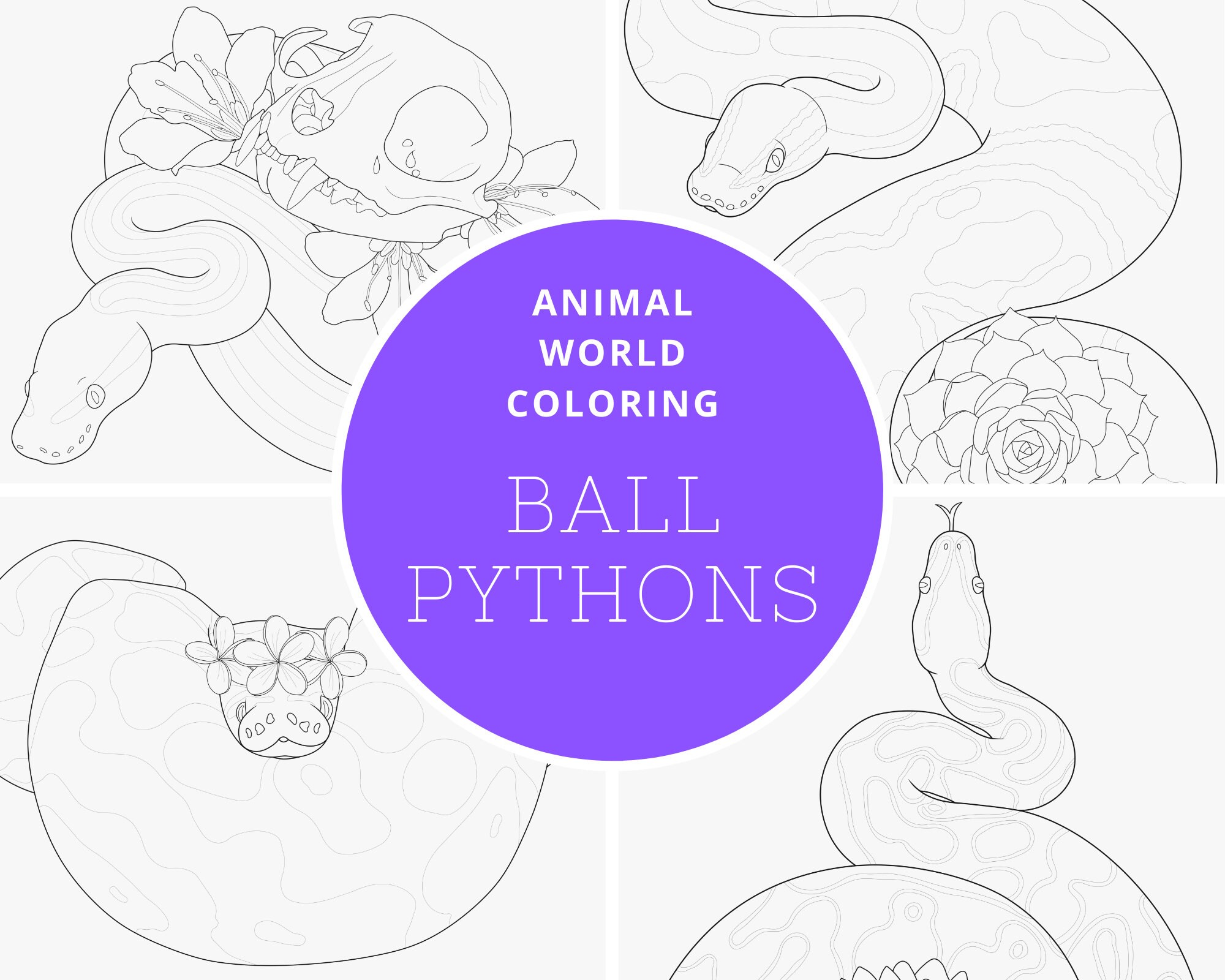 Ball Python Digital Coloring Book - PDF - Great for Both Reptile and ...